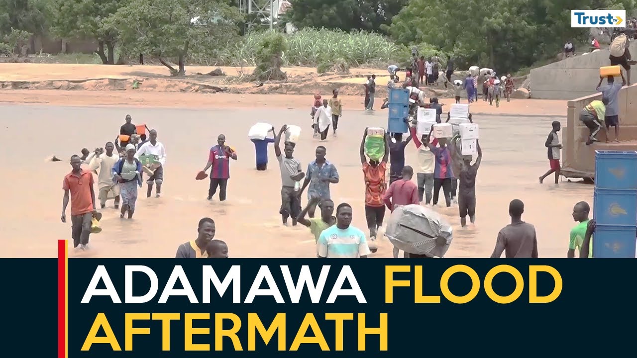 Adamawa Flood Aftermath: Communities Decry Impact As Support Trickles ...