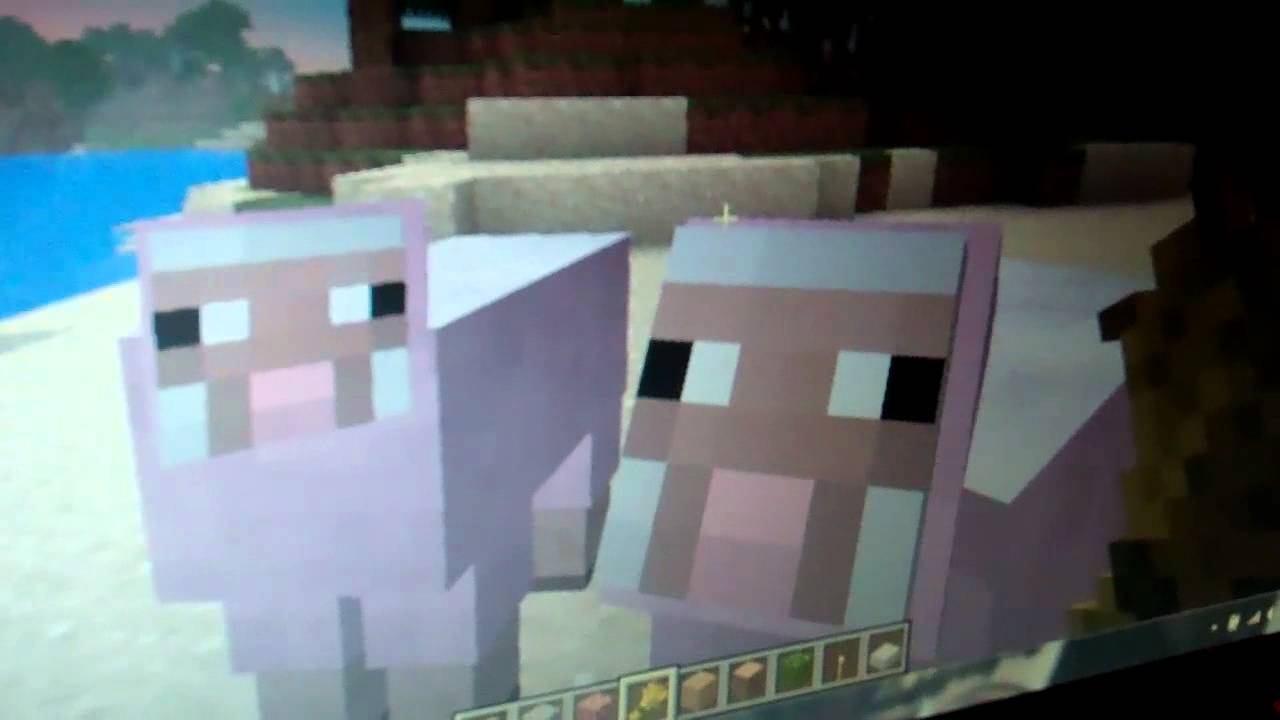 2 minecraft RARE pink sheep! - YouTube