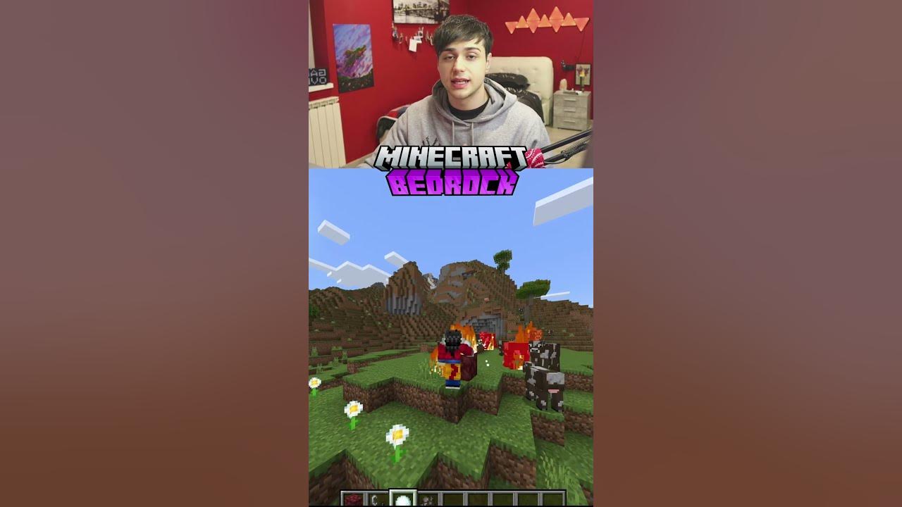 Differenze strane tra Minecraft Java e Bedrock edition! #shorts # ...