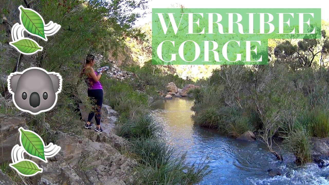 Werribee Gorge | Circuit Track - YouTube