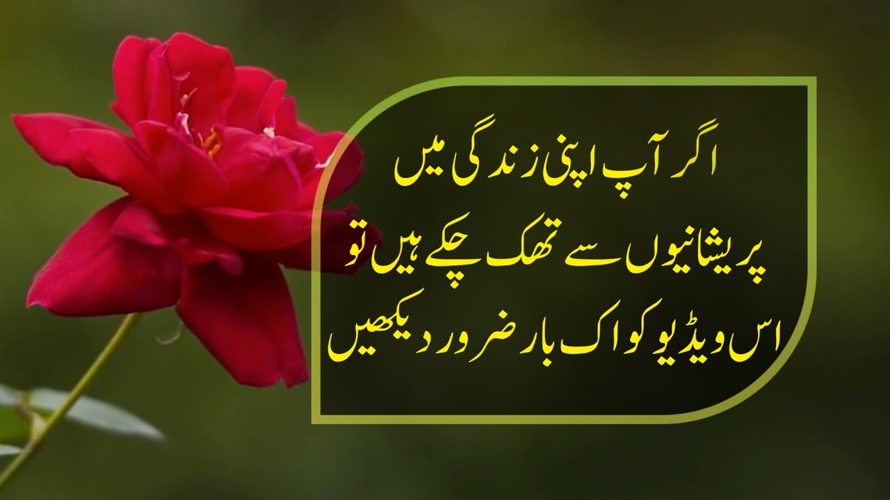 Best Collection of Sabar Islamic Quotes - YouTube