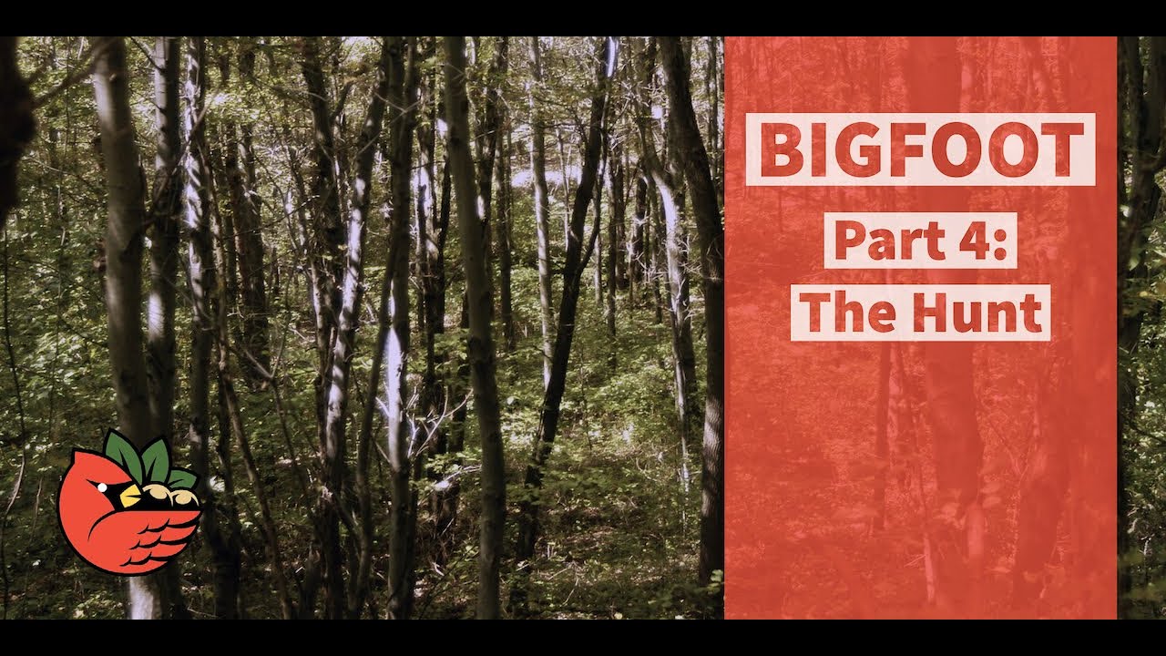 Bigfoot Part 4: The Hunt - YouTube
