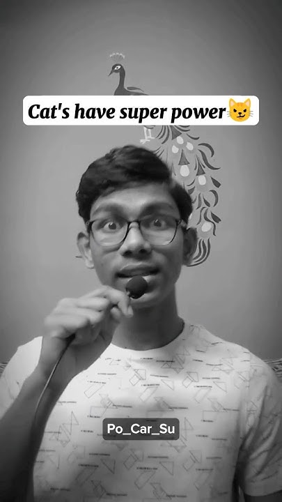 Cat's have super power 😼💫 - YouTube
