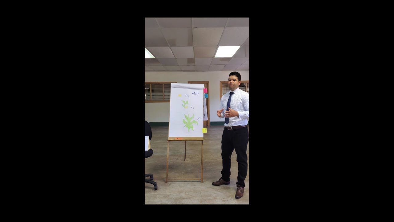 EL ROTAFOLIO COMO AYUDA DIDÁCTICA, QUÉ ES Y TÉCNICAS DE USO - YouTube