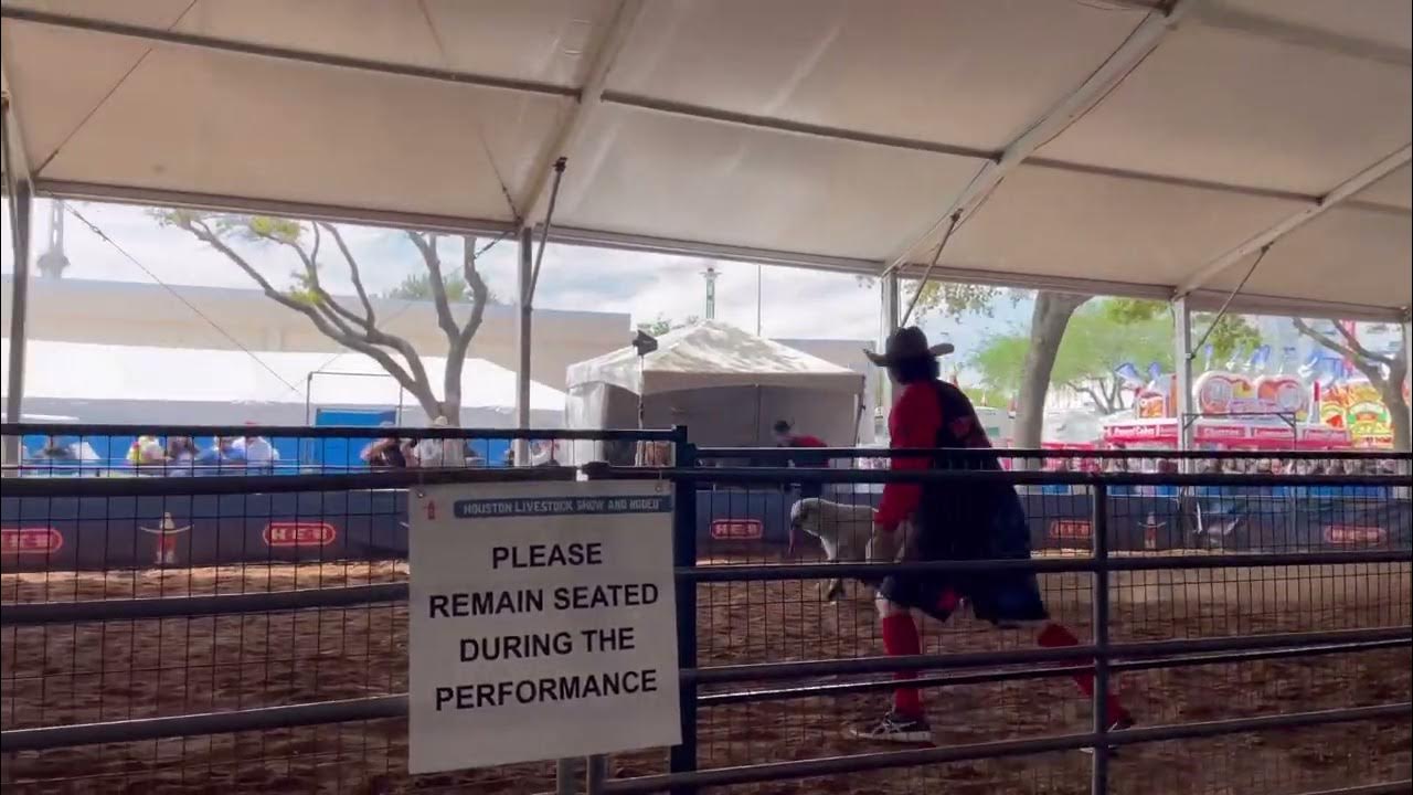 Mutton Bustin Houston rodeo 2023 - YouTube