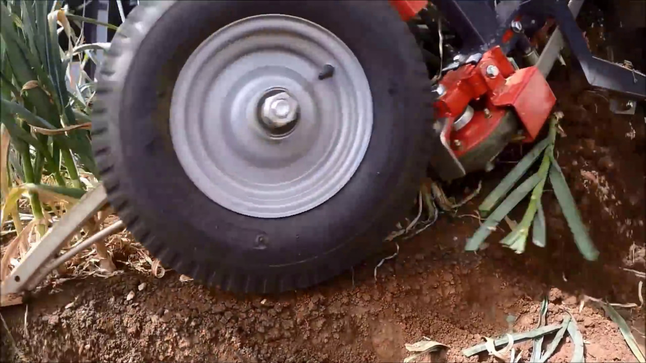 garlic harvester - YouTube