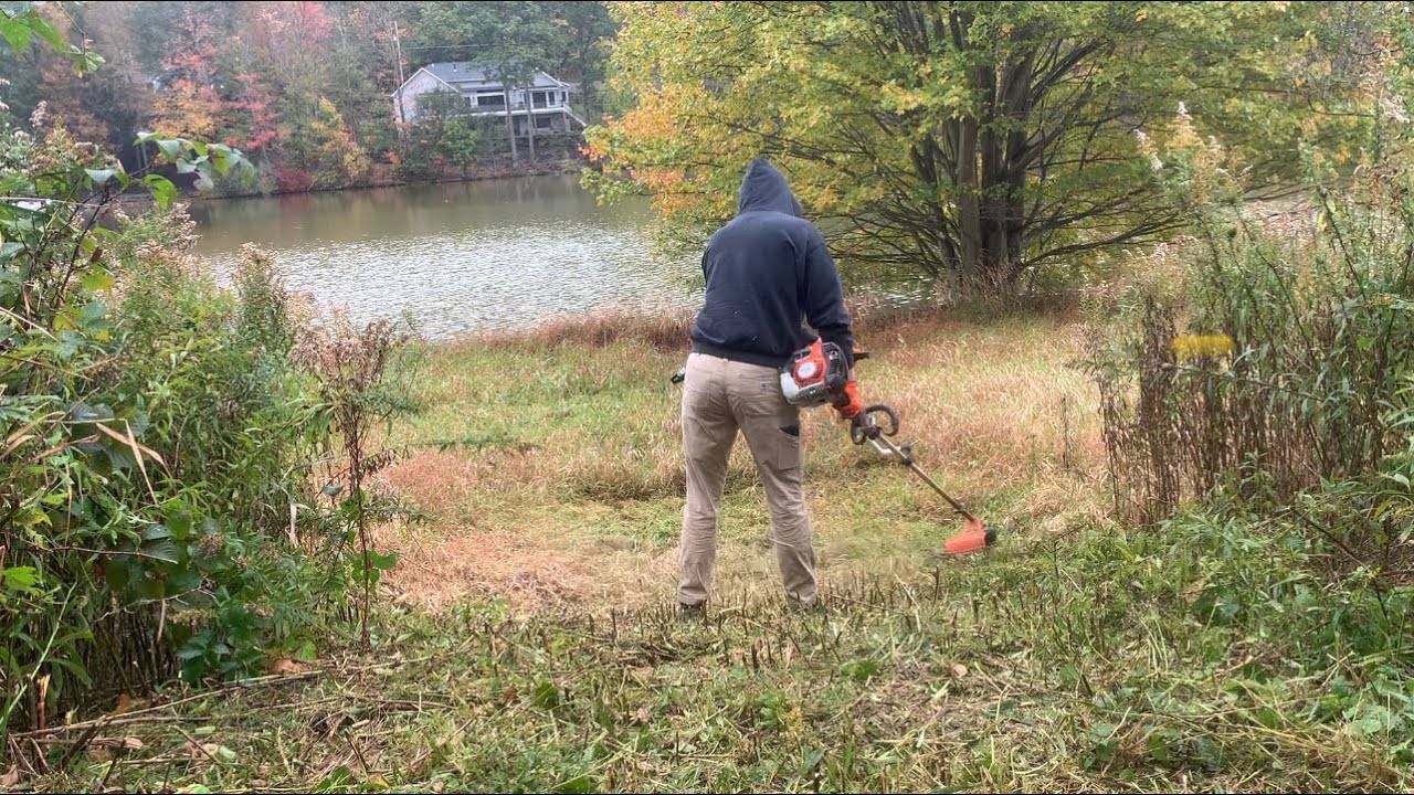 CUTTING A PATH TO THE LAKE!!! - YouTube