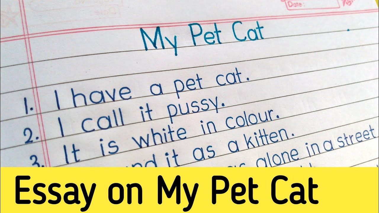 Essay on My Pet Cat 🐈 in English||my pet cat 10 lines|| Let's Write ...