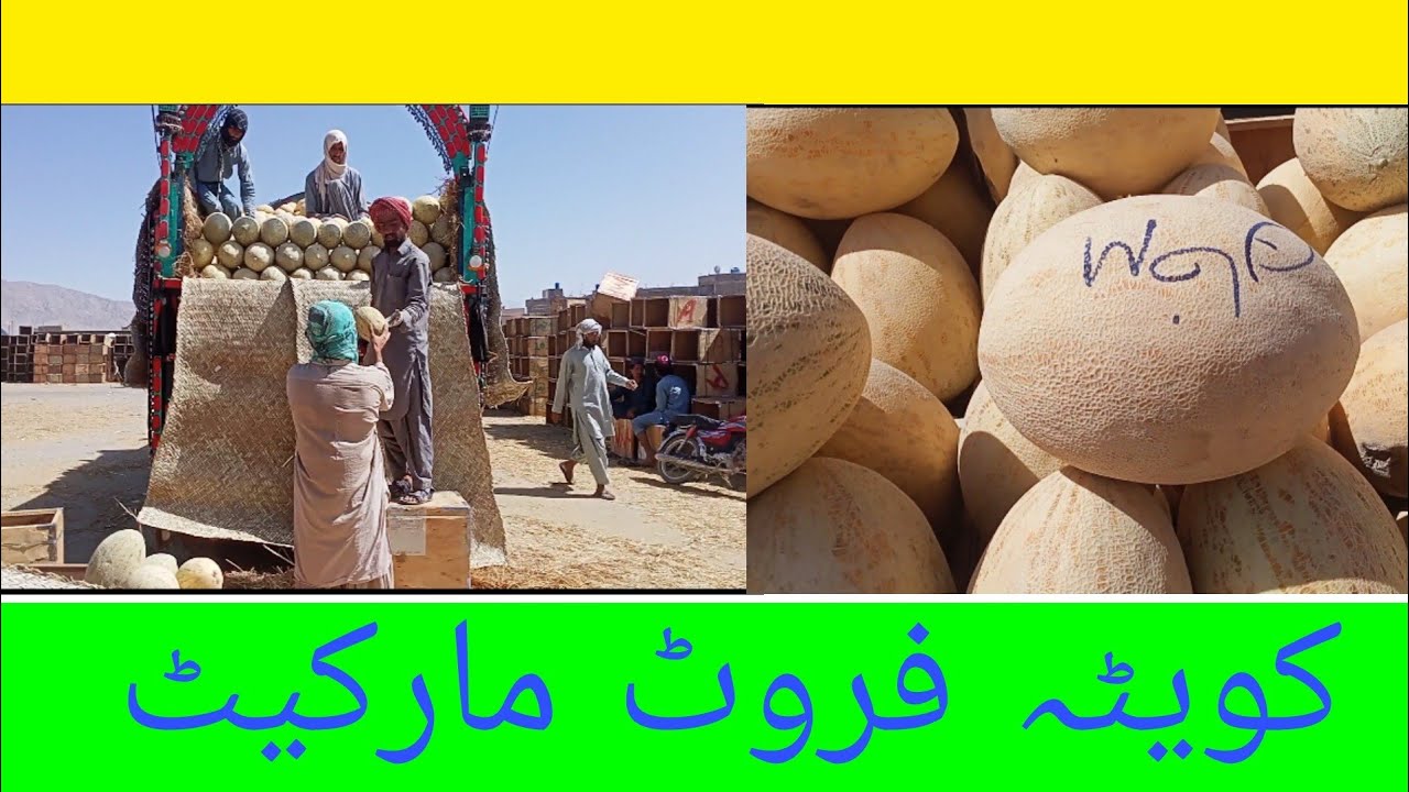 Quetta fruit market Rafiq khosa vlog - YouTube