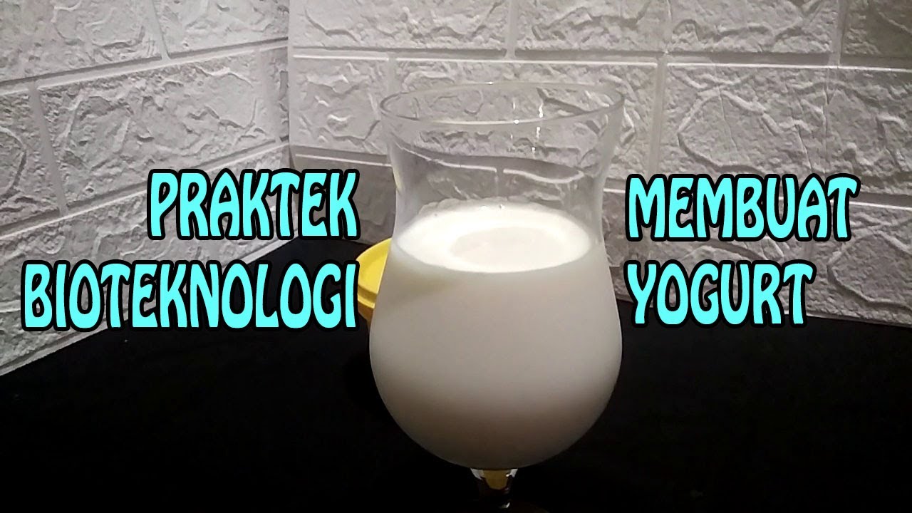 Praktek Bioteknologi Membuat YOGURT... - YouTube