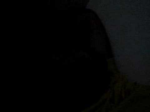 Cerbul lopatar - YouTube