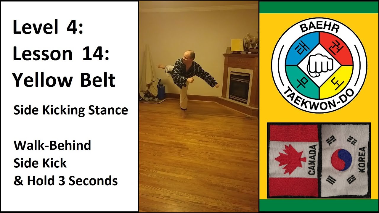 Level 04: Lesson 14: Green Stripe: Side Kicking Stance - Walk-Behind ...