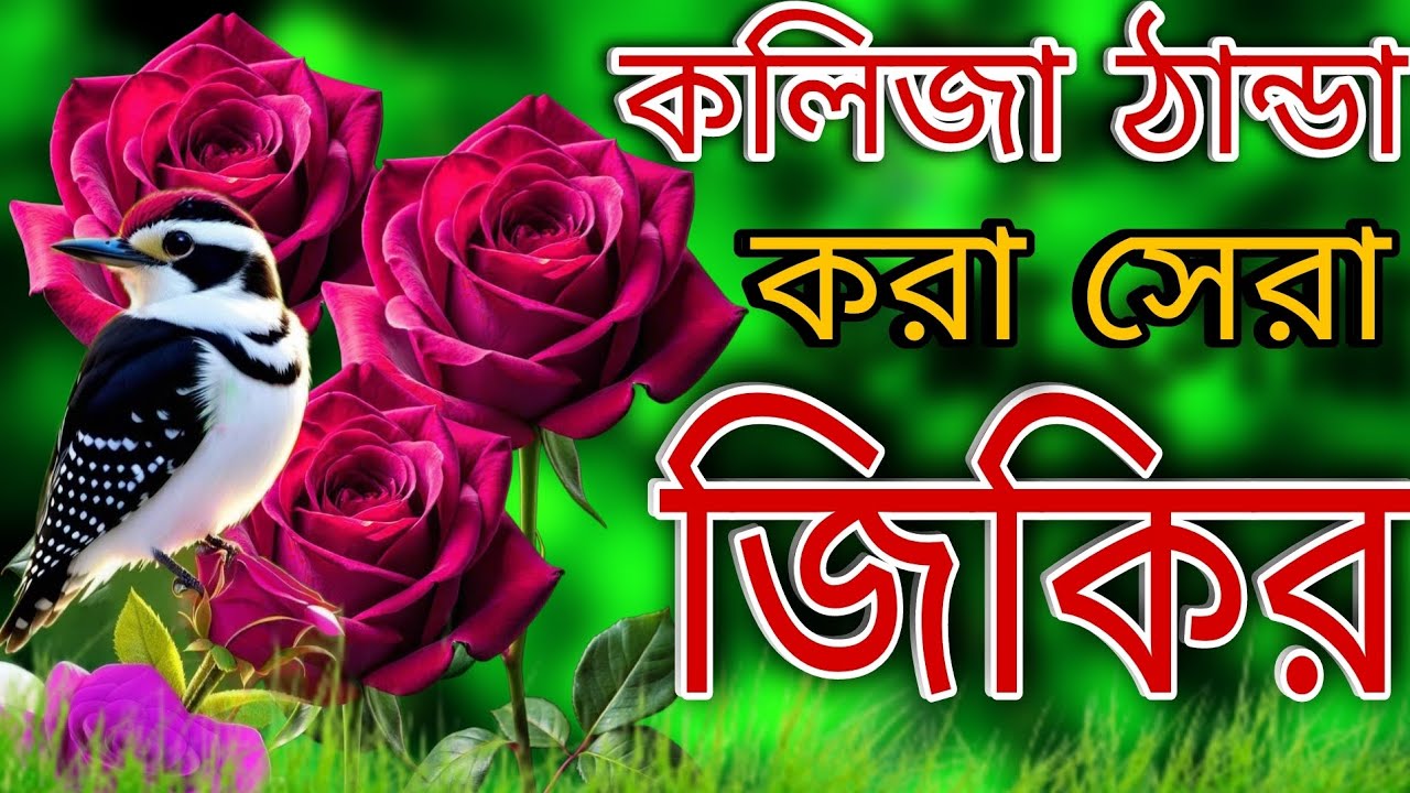 কলিজা ঠান্ডা করা সেরা জিকির। Bangla islamic jikr #islamicvideo #jikir # ...