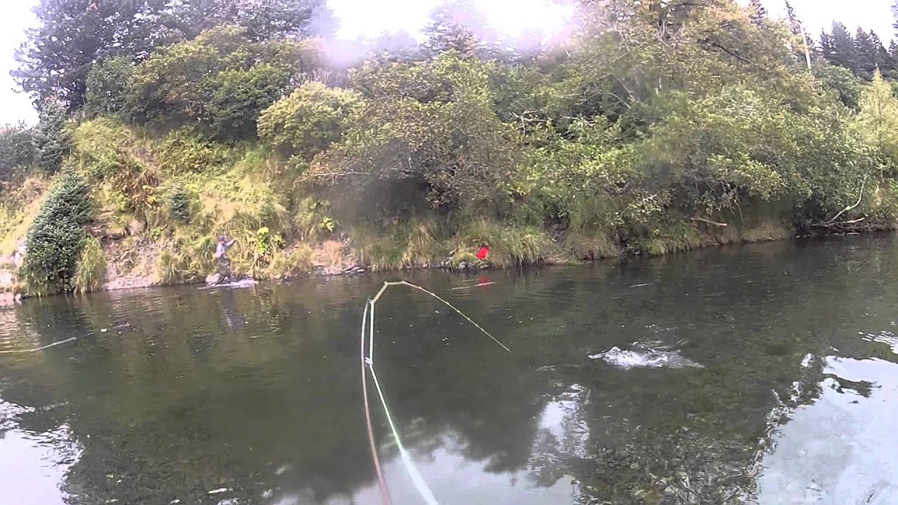 Buskin River Coho - August 30, 2014 - YouTube