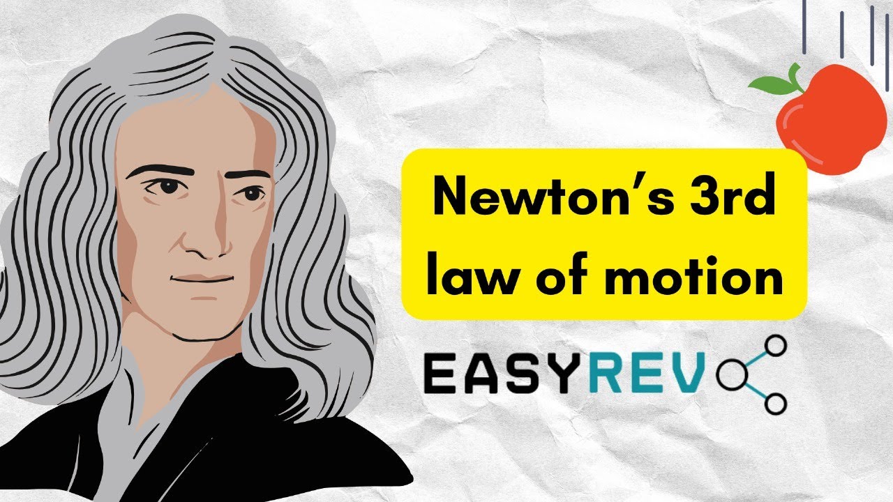 Newton's Third Law of Motion (Lecture Series) | AS Level Physics - YouTube