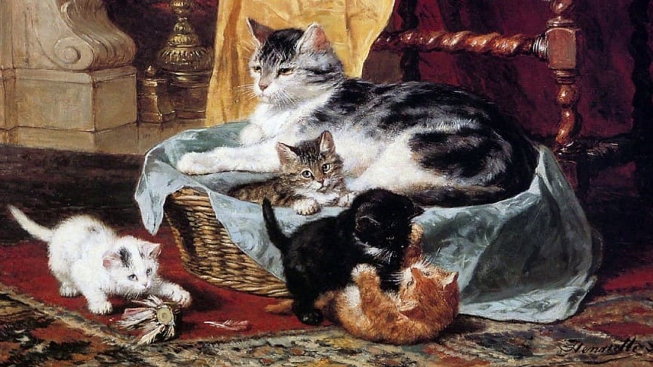 Hush little baby / Сat with kittens - YouTube