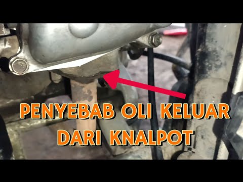Penyebab Oli Keluar dari KNALPOT Penyakit Langka