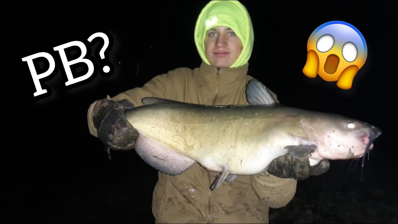 Fishing the Susquehanna for big catfish at night. Almost caught a new ...