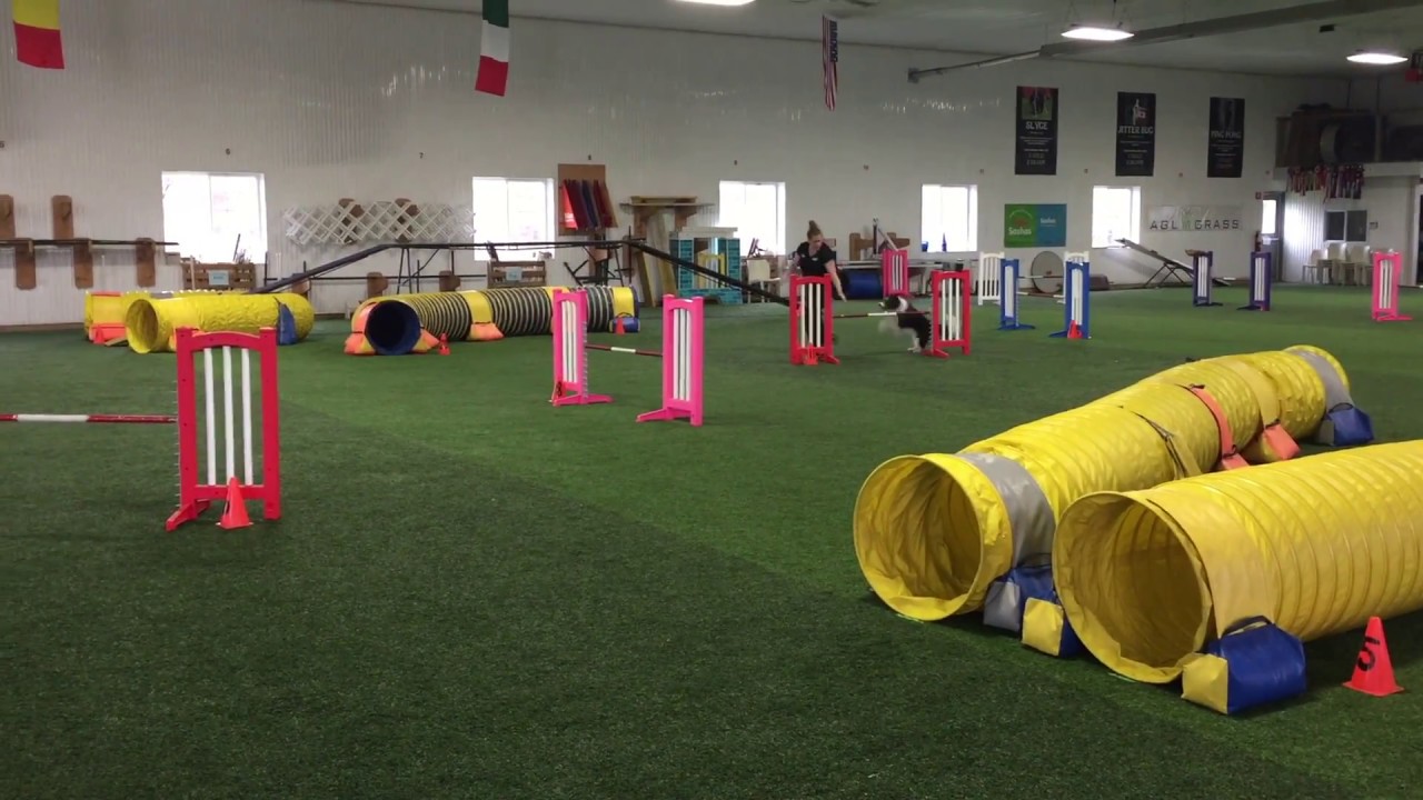 OMD - Kayl McCann @ Jaakko Seminar (Day 2) - YouTube