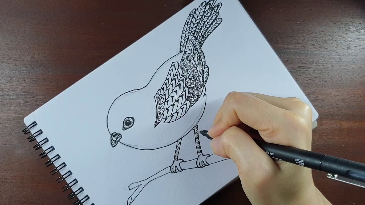 zentangle bird/ zentangle patterns - YouTube