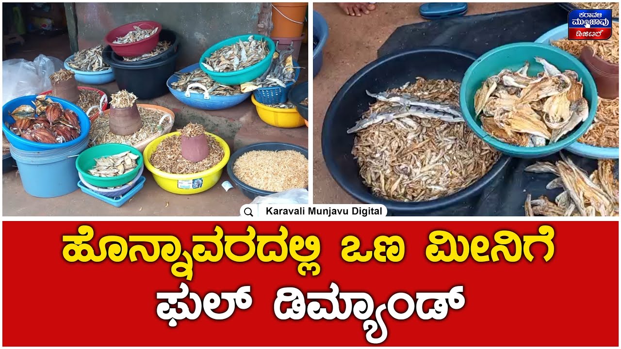 Dry Fish Demand In Honnavar | ಹೊನ್ನಾವರದಲ್ಲಿ ಒಣ ಮೀನಿಗೆ ಫುಲ್ ಡಿಮ್ಯಾಂಡ್ ...
