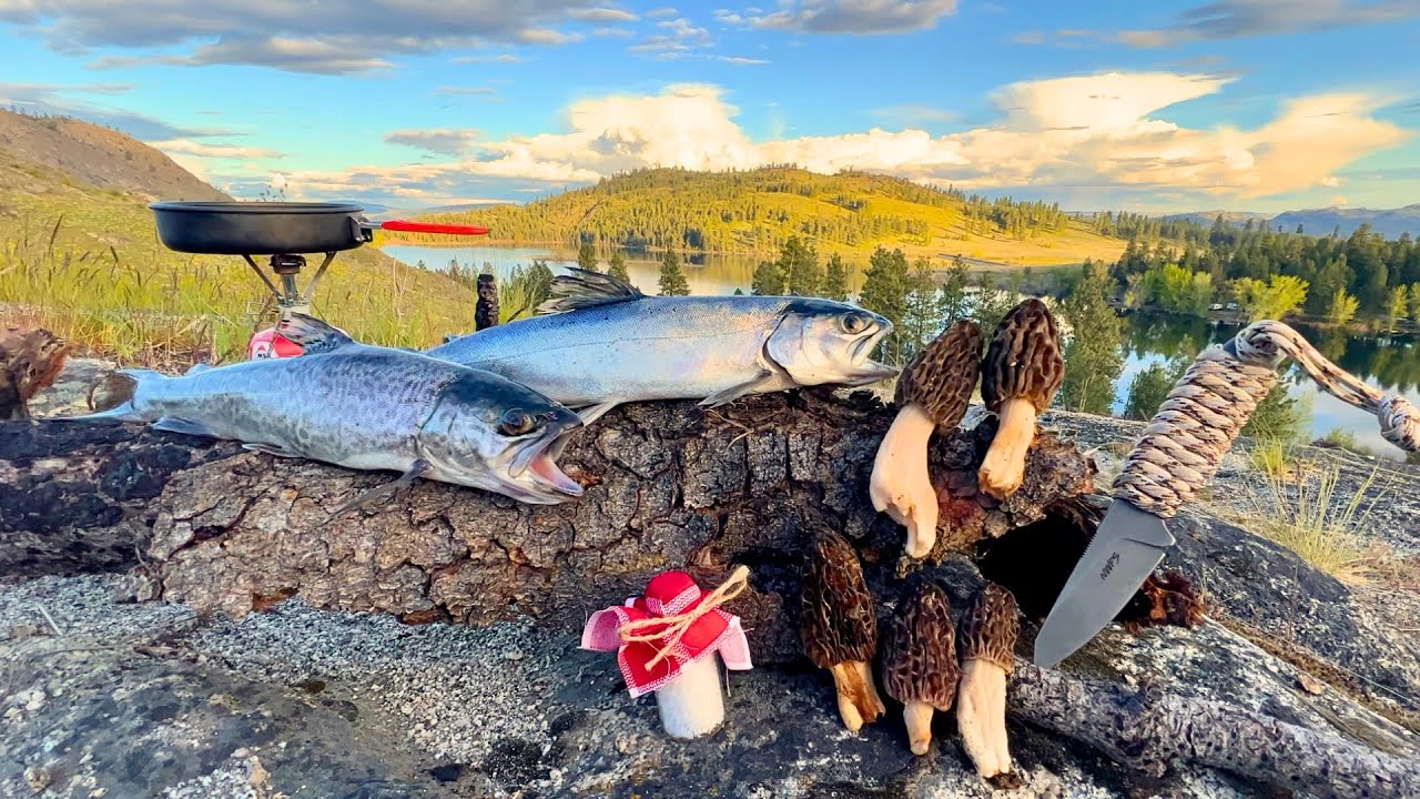 TIGER TROUT Fishing & Wild Mushroom Foraging!!! (Catch & Cook) - YouTube