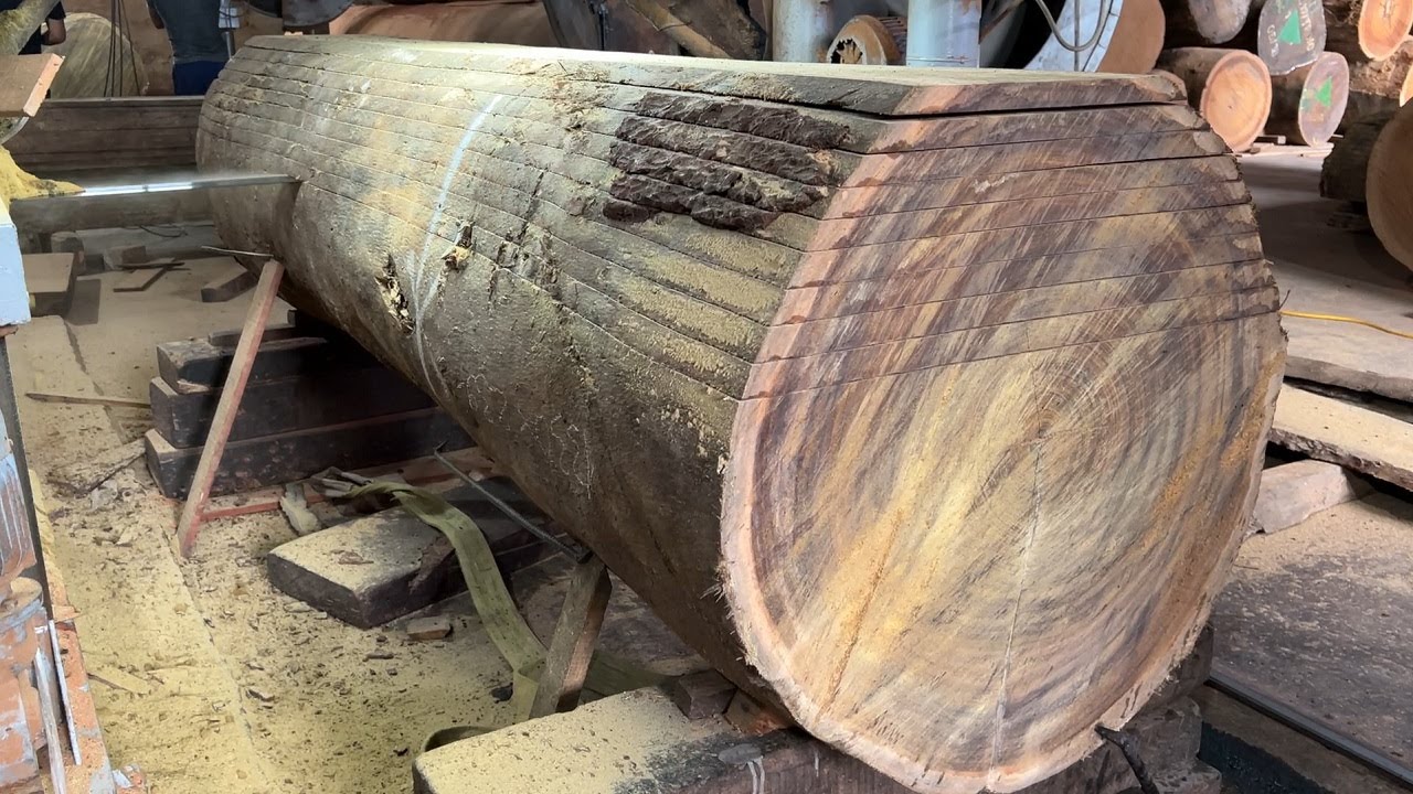 Amazing Dangerous Skills Giant Wood Cutting Fastest - Sawn Ironwood ...