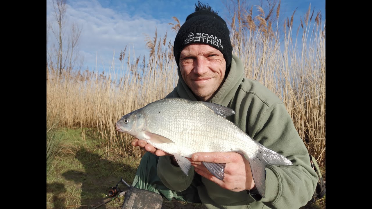 float fishing for Roach and bream at wild pond - YouTube