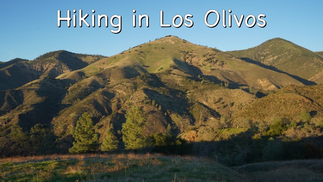 Hiking in Los Olivos - Grass Mountain & Zaca Peak - YouTube