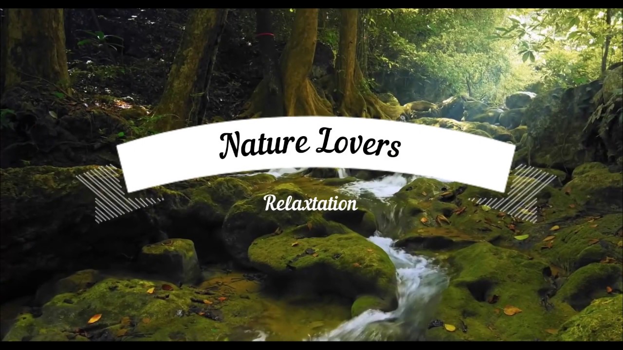 Nature Lovers: Birds Singing, Water Sound, Relax Music, Calm, Peace ...