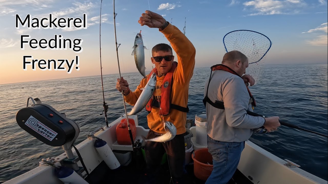 Amazing Mackerel Fishing Expedition! - Boat Fishing For Mackerel ...