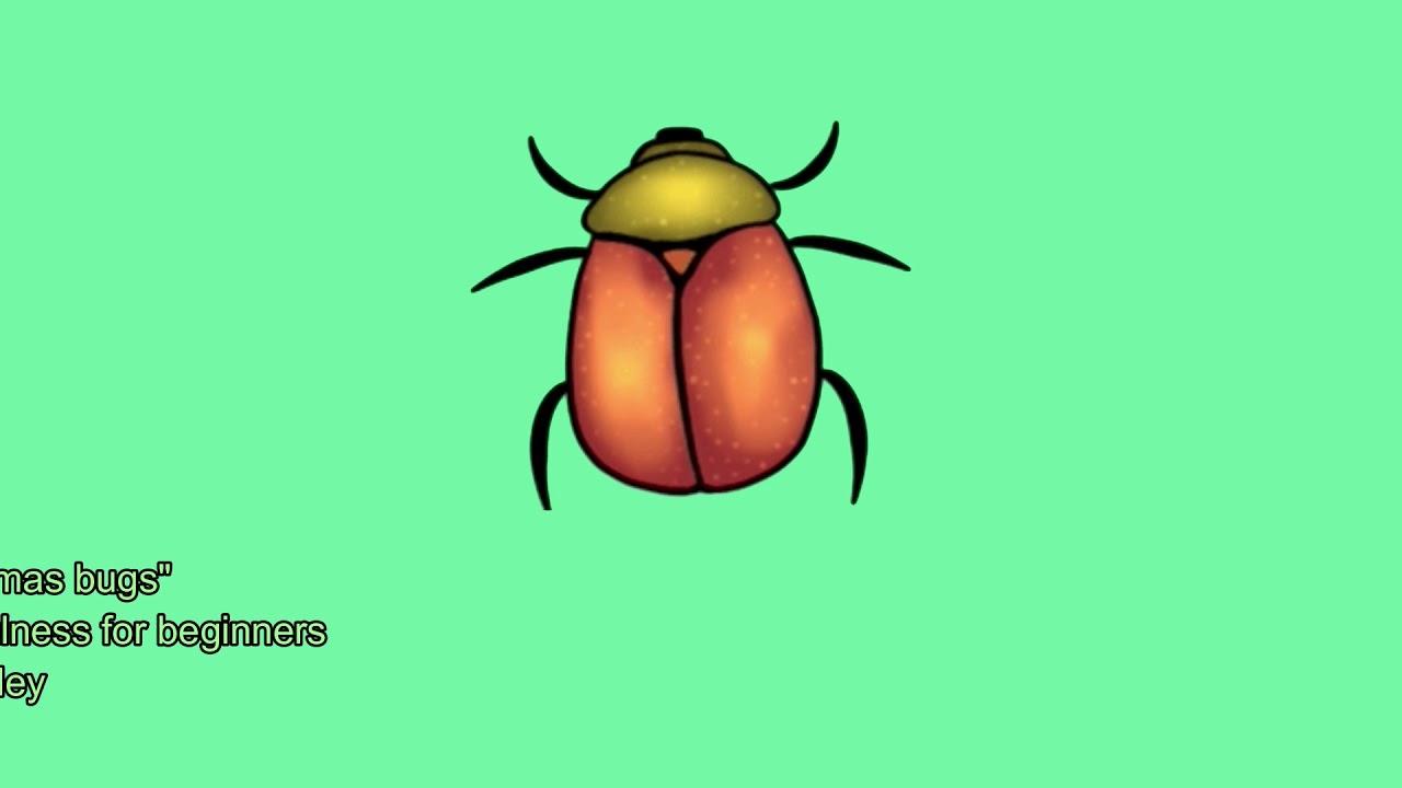 christmas bugs - original song! - YouTube