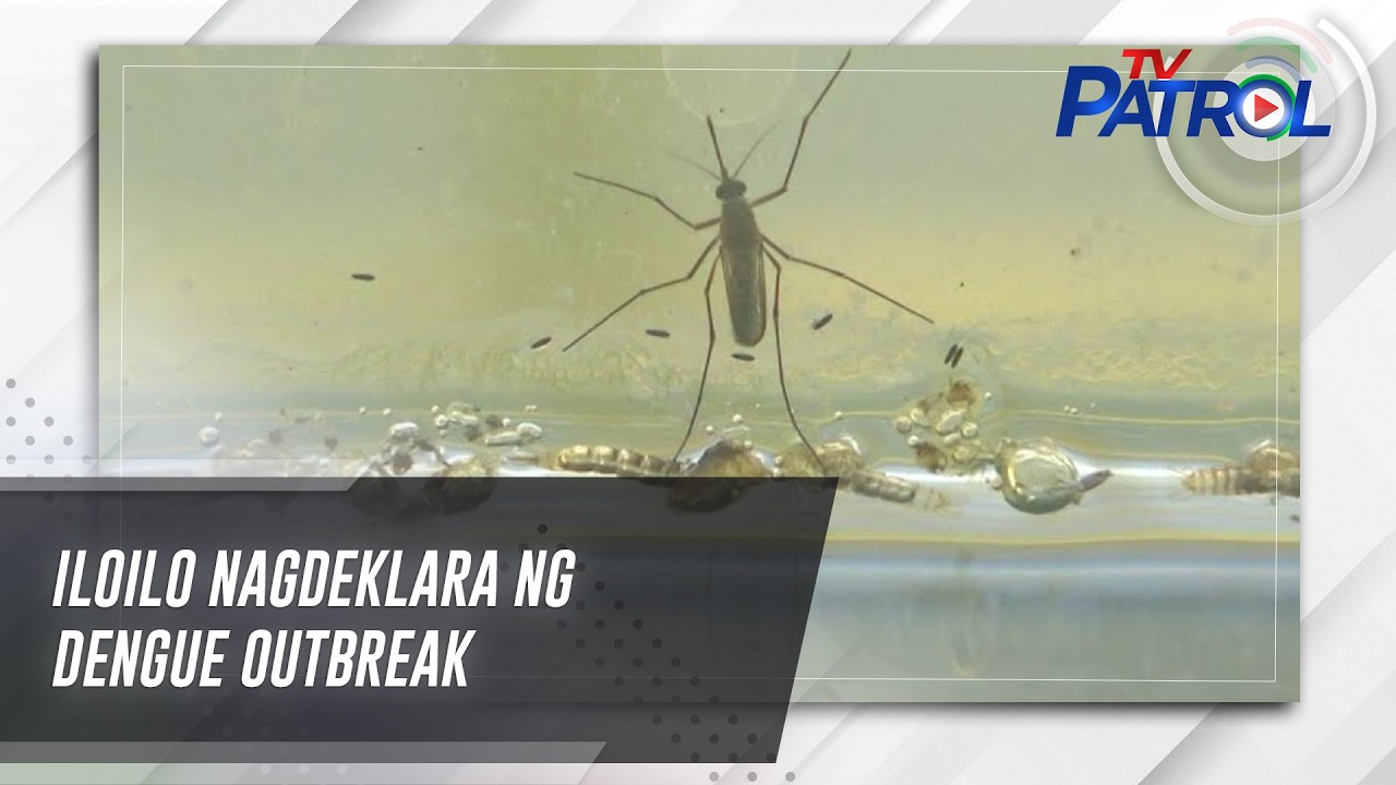 Iloilo nagdeklara ng dengue outbreak | TV Patrol - YouTube