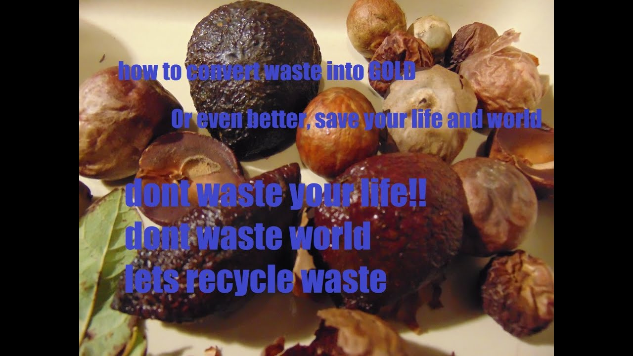 Recycling Avocado Waste - Using Peels & Seeds as miracle super food ...