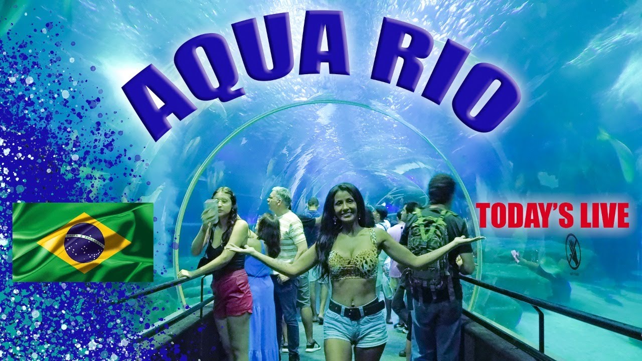 Aqua Rio - The Marine Aquarium of Rio de Janeiro - YouTube