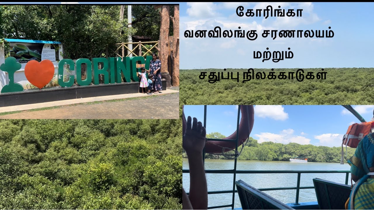 Coringa wildlife sanctuary and mangrove forest with boating 🛶 #boating ...