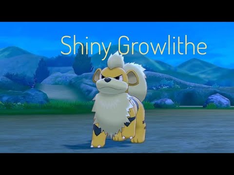 Shiny Growlithe after 2516 wild encounters Pokemon Sword and Shield ...