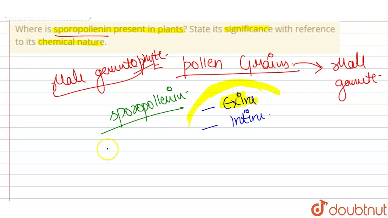 Where is sporopollenin present in plants? State its significance with ...