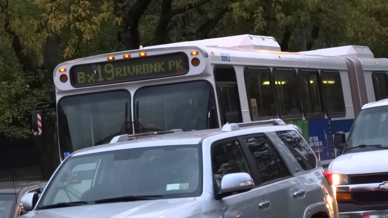 MTA New York City Bus: New Flyer D60HF #5662 Bx19 @ Dr. Kazimiroff Bl ...