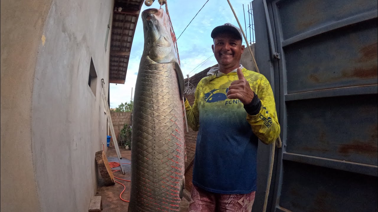 Uma grande pescaria com percas e vitórias 🎣 - YouTube