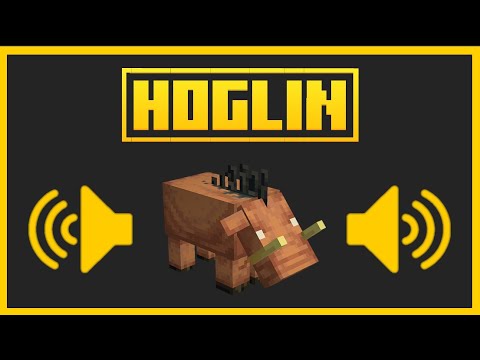 🟨 ALL EFFECTS SOUNDS OF THE HOGLIN - Minecraft Bedrock & Java 🟨 - YouTube