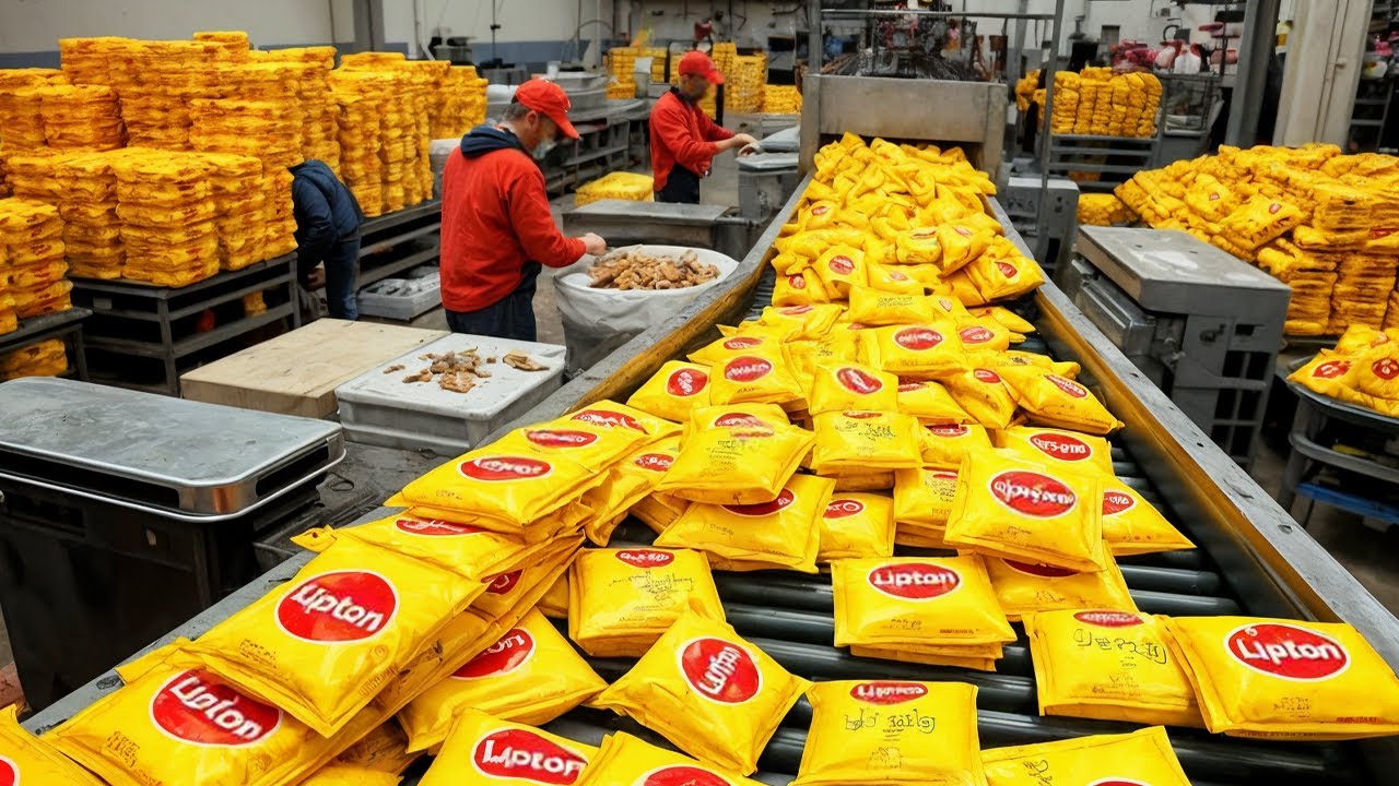 How Millions of Lipton Tea Bags Are Made in Factory | Tea Processing ...