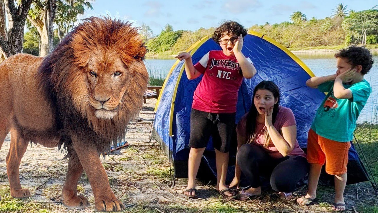 CAIO E CADU ACAMPARAM NA BARRACA DOS ANIMAIS - YouTube