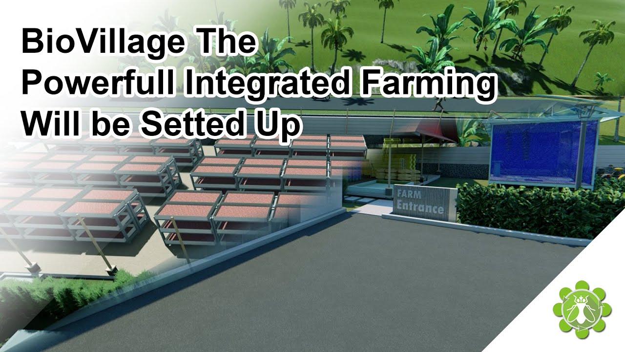 BioVillage The Powerfull Integrated Farming Will be Setted Up. MAGGOT ...