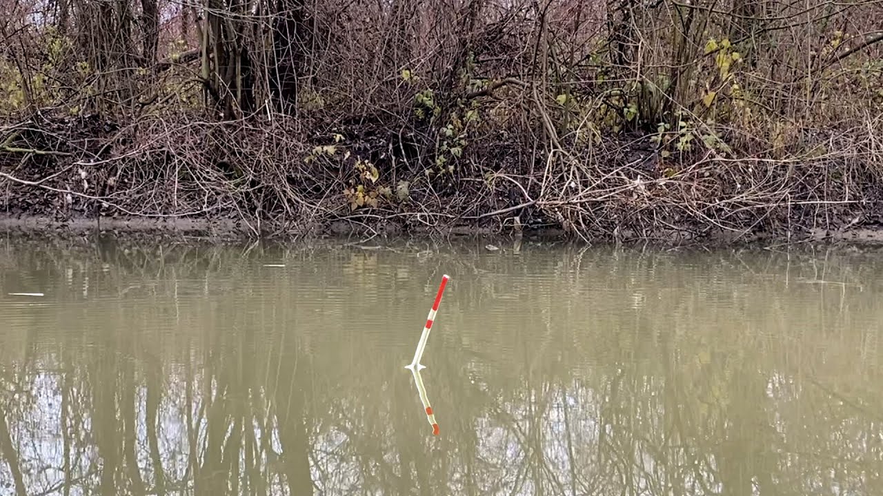 I fished on a small canal full of chub with a 5 meter rod (ENG SUB ...