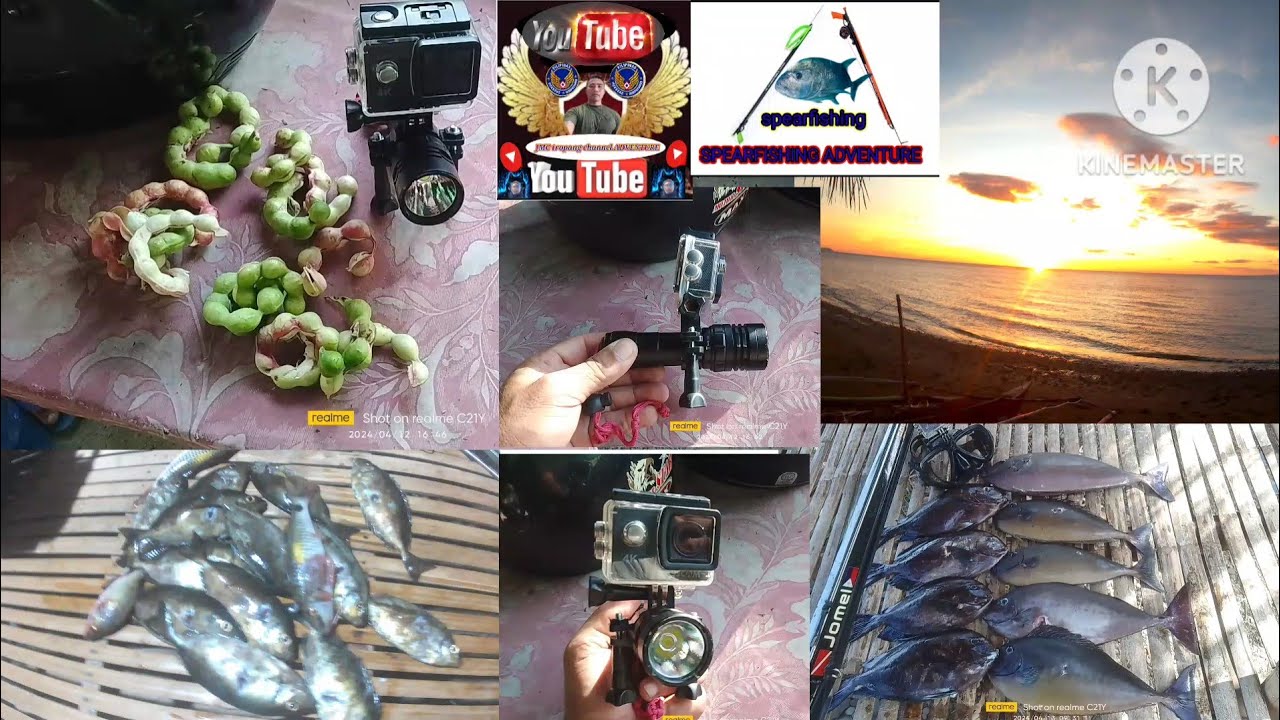 Night dive & day dive, spearfishing adventure. - YouTube
