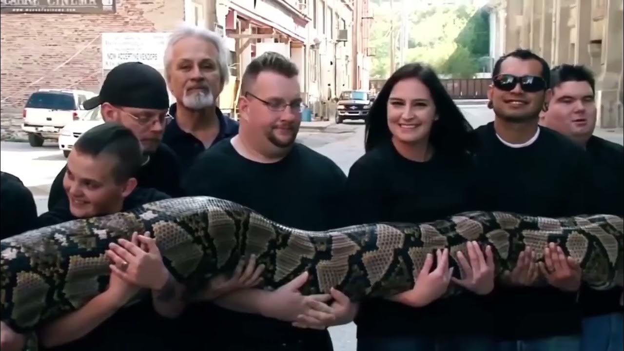 10 Biggest Snakes Ever Discovered - YouTube