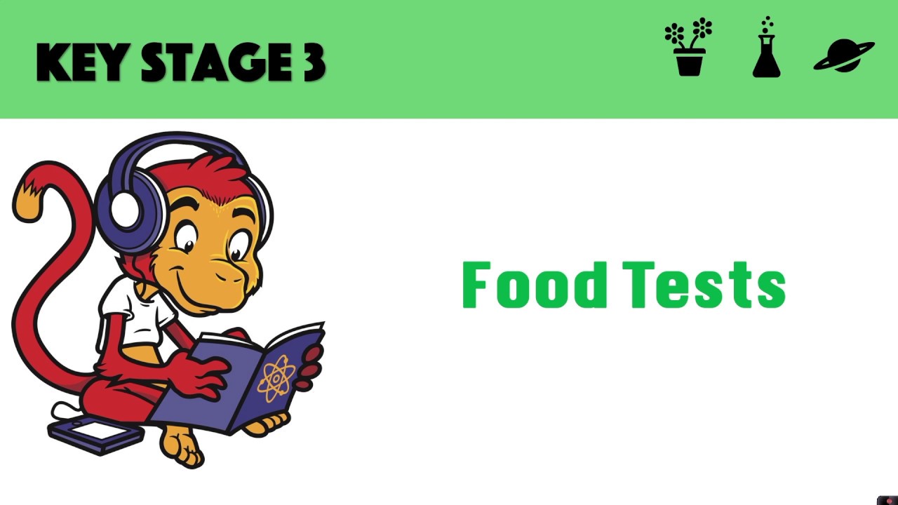 Food Tests - YouTube