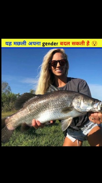 fish change his gender 😱 | #shorts #viralshorts - YouTube