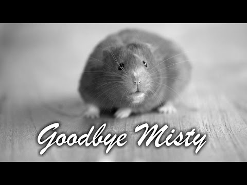 Goodbye Misty ♡ - YouTube